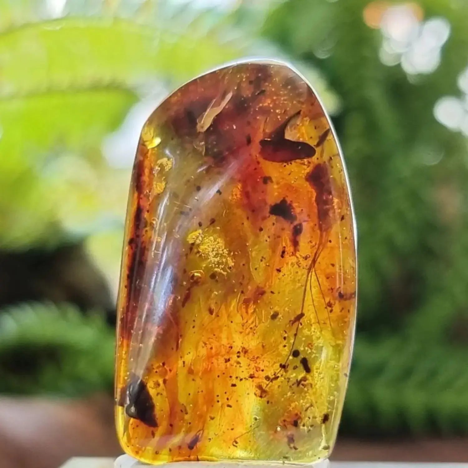 Amber, Wood and Fossils - Castle Rocks Cornwall