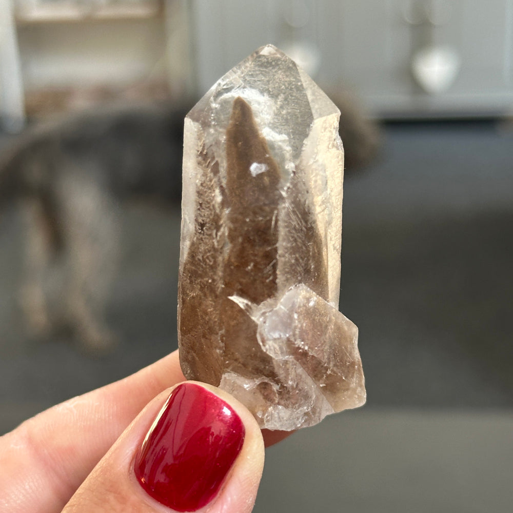 🌫️ Quartz with Inclusions & Phantom - Castle Rocks Cornwall
